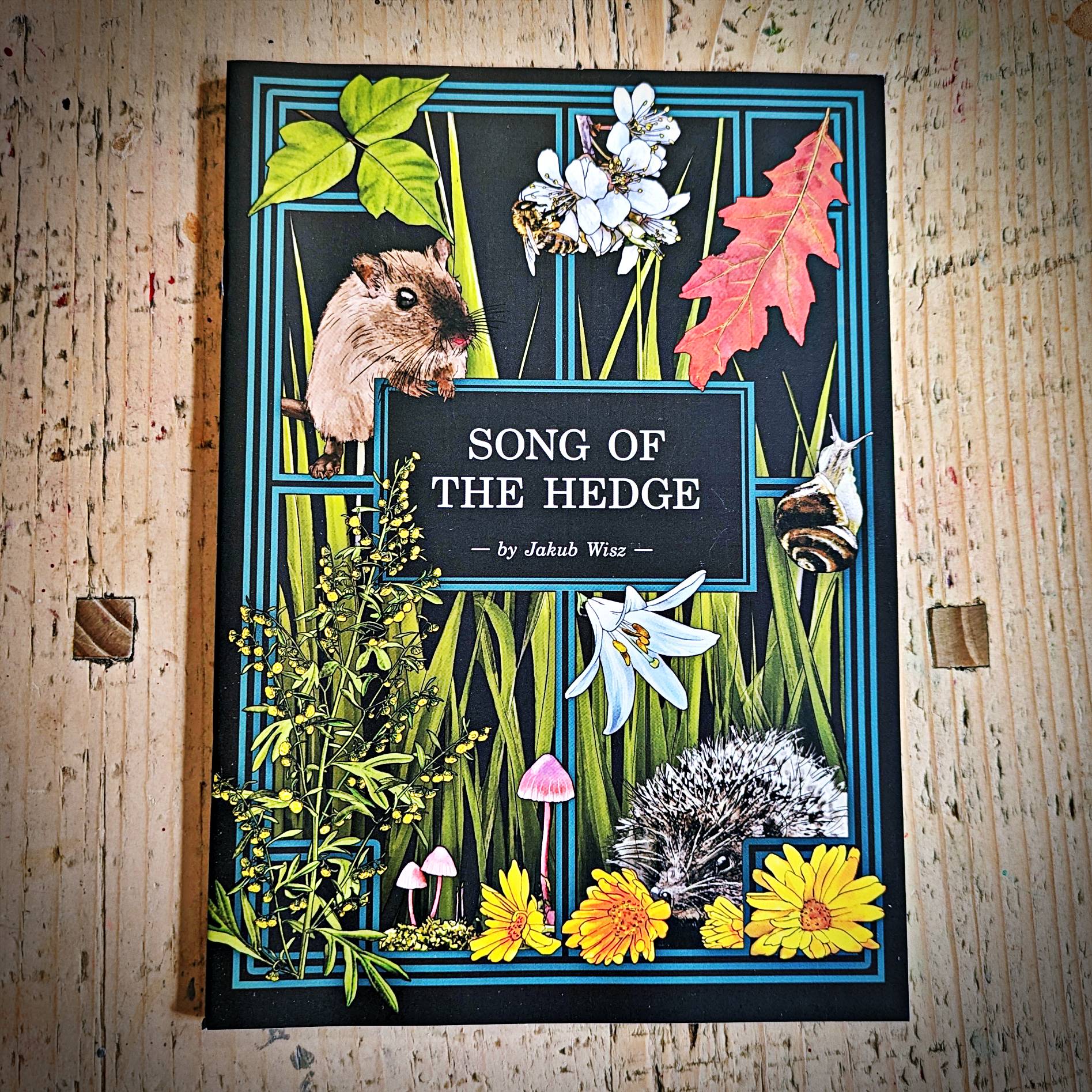 Song of the Hedge Adventure Zine - Beyond Cataclysm